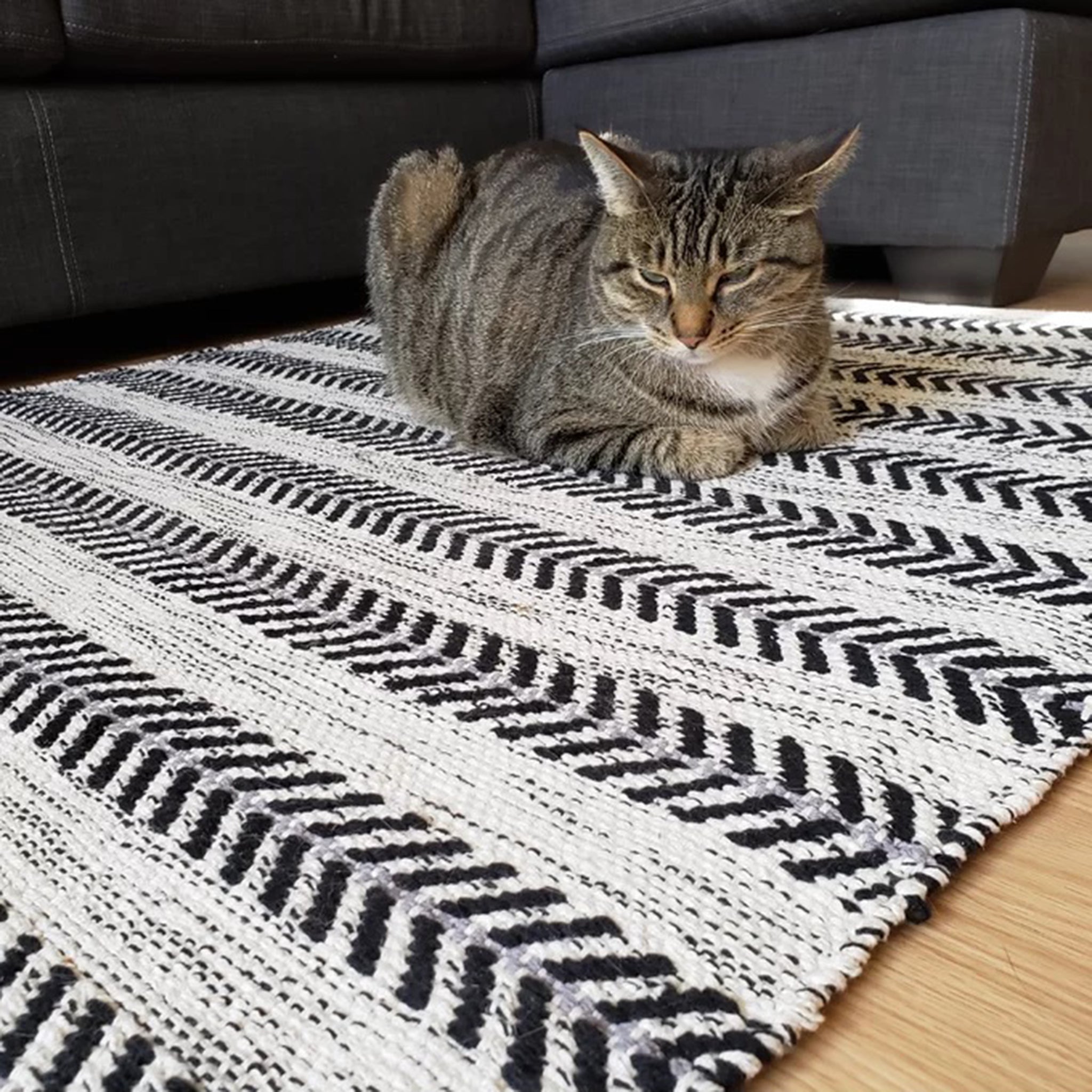 Avocado Decor - Indoor & Outdoor Area Rugs